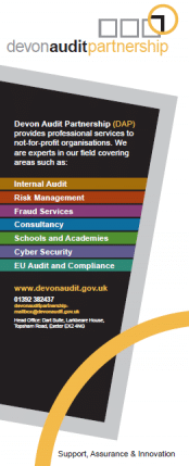 Careers in DAP - Devon Assurance Partnership